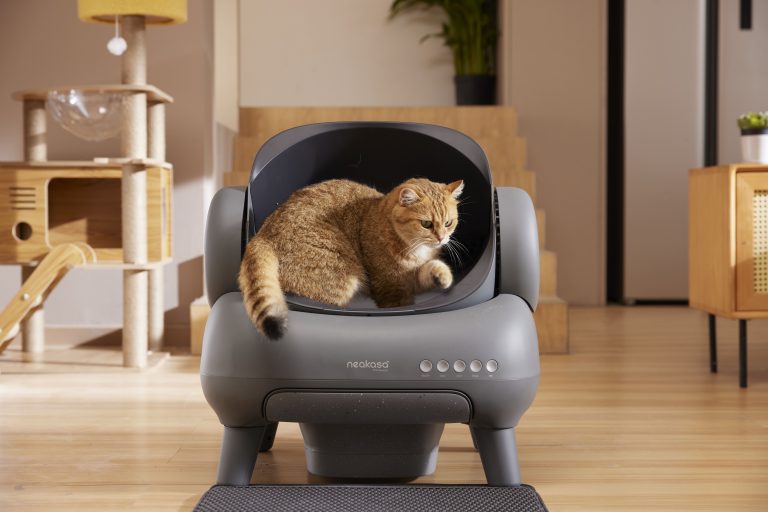 Neakasa M1 Cat Litter Box Review: Available on Amazon